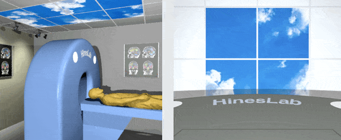 MRI-Moire-Window-90_RollThru_700x289 - HinesLab